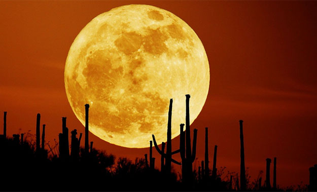 Supermoon, closest full moon to Earth since 1948, will be seen on ...