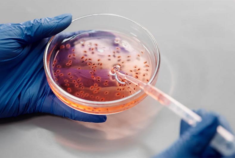 Antimicrobial resistance genes spread easily between people: Study ...